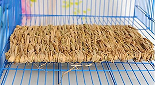 BESAZW Rabbit Mat,Grass Mats for Rabbits,Safe & Edible Rabbit Mats for Cages,Bunny Chew Toys for Rabbits (C:15.7"x11"(2 Pack))