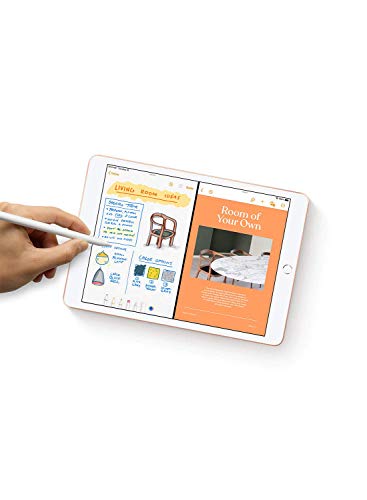 2019 Apple iPad (10.2-inch, Wi-Fi + Cellular, 32GB) - Silver (Renewed)