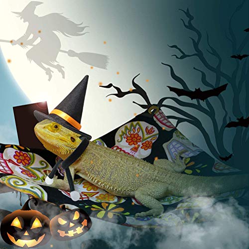 Rypet Bearded Dragon Halloween Costume - Lizard Wizard Hat with Scarf Halloween Costumes Set for Bearded Dragon Halloween Party