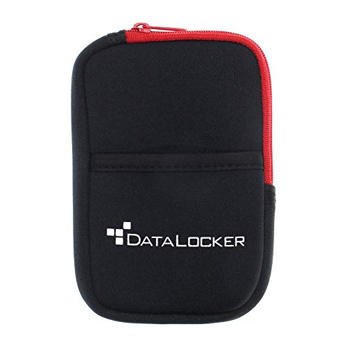 DataLocker DL4 FE 2 TB Password Protected Hardware Encrypted HDD, Easy Screen Guided Use, AES 256, IP64 Dust, TAA Compliant Trusted Supply Chain, OS Independent, USB-C/USB-A