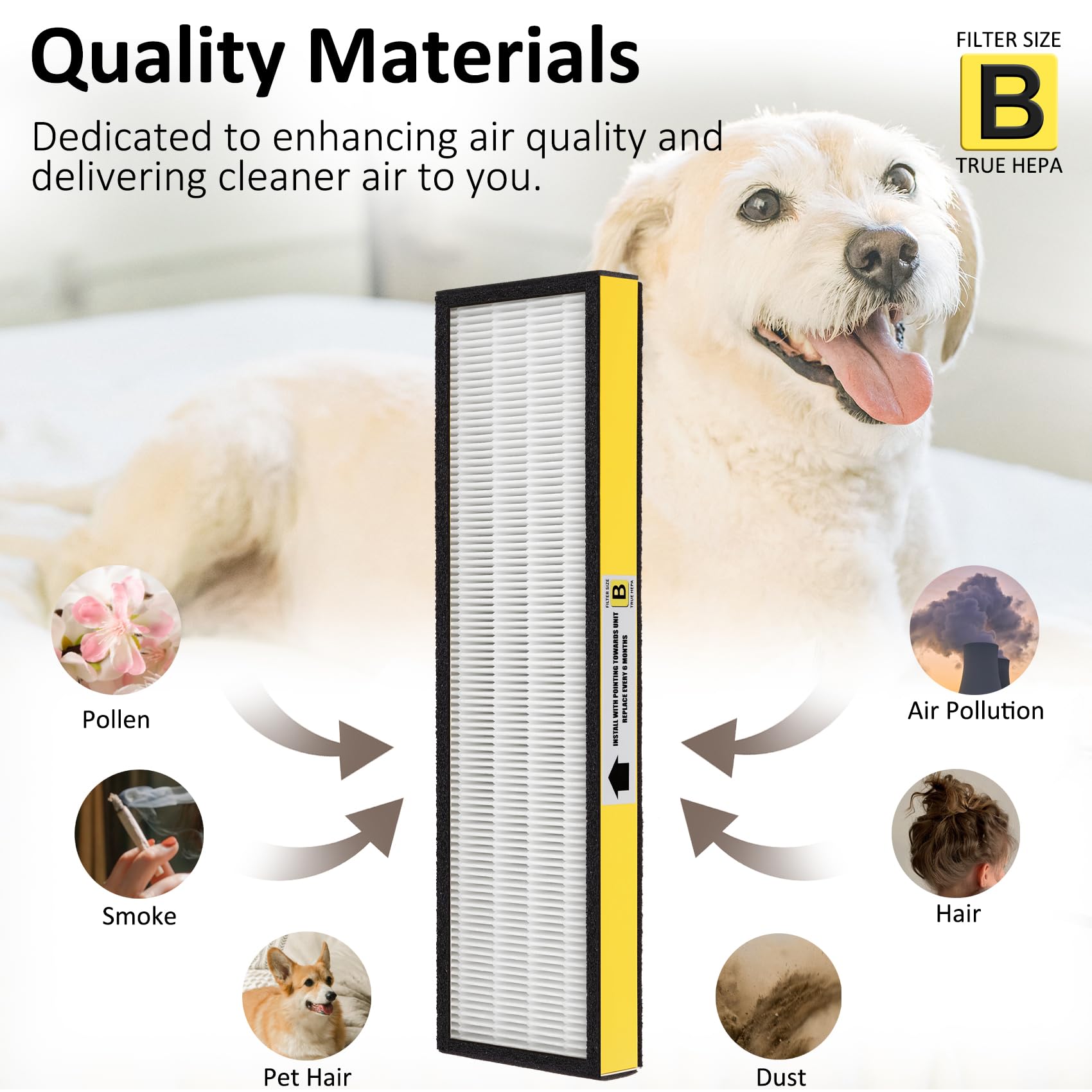2 Pack FLT4825 True HEPA Filter B Replacement with 6 Activated Carbon Pre-Filters Compatible with Guardian AC4825 AC4300 AC4800 AC4900 AC4850 Air Purifier