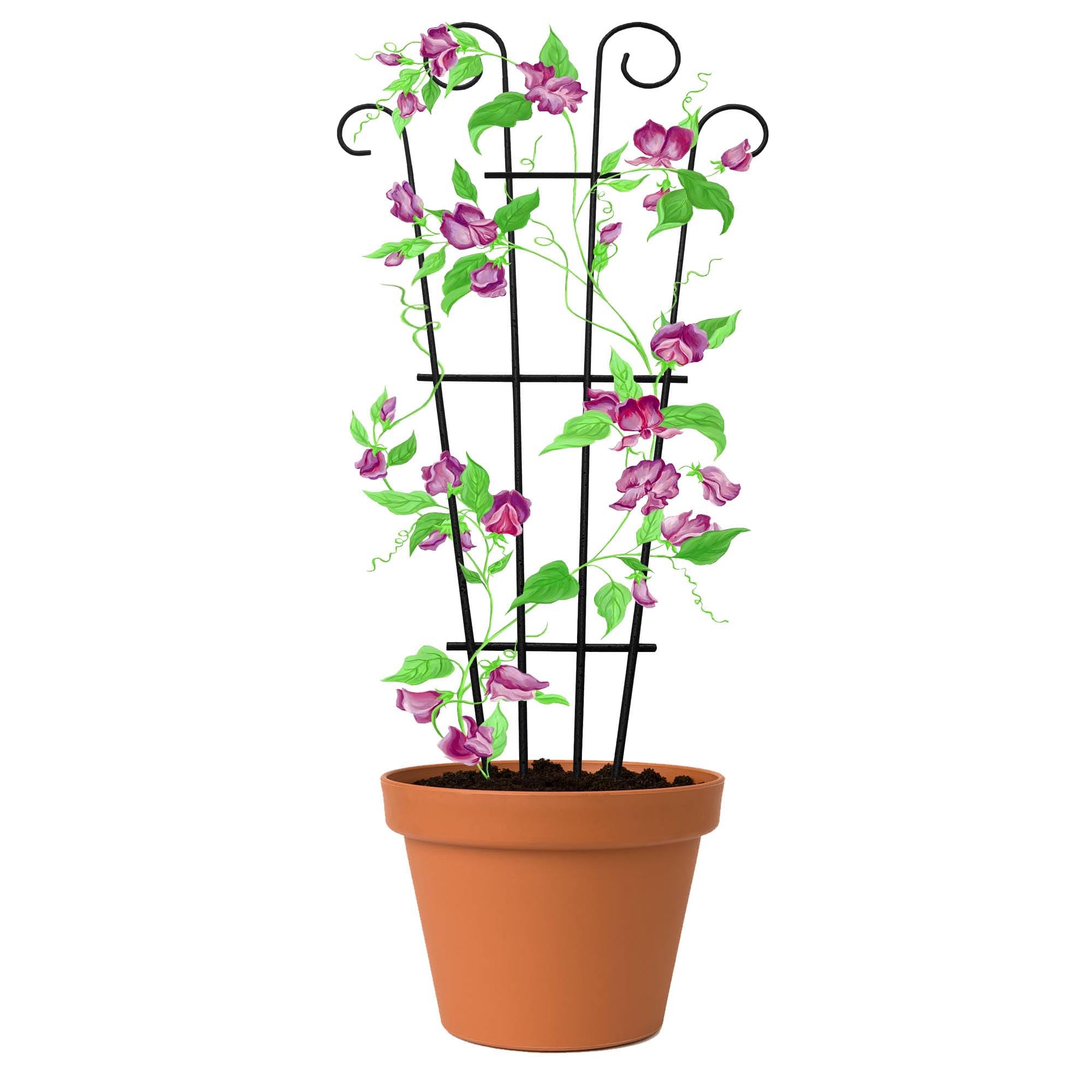 2 Pack Black Coated Wave Pot Trellis 23'' Stakes for Climbing Plants Patio Plant Support for Outdoor,Rose, Vegetable Flower, Backyard