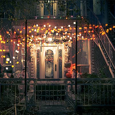 2 Pack Halloween Decoration Pumpkin String Lights, 9.8ft Total 40 LED Battery Operated 3D Halloween Light, Outdoor Decorative Lights for Patio, Garden, Gate, Yard, Halloween Christmas Decoration