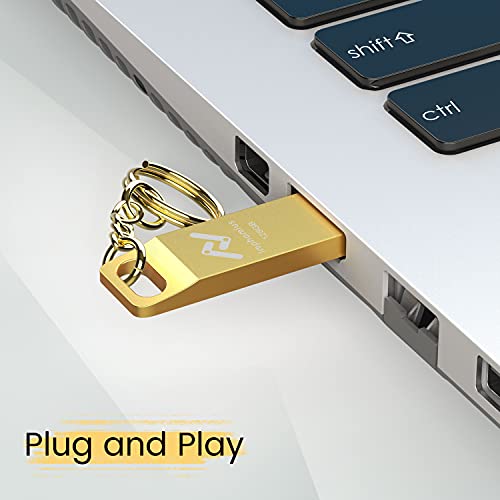 Imphomius 128GB Metal USB 2.0 Flash Drive with Keychain Waterproof and Dustproof Thumb Drive exFAT Memory Stick 128 GB Jump Drive for Storage and Backup, Gold