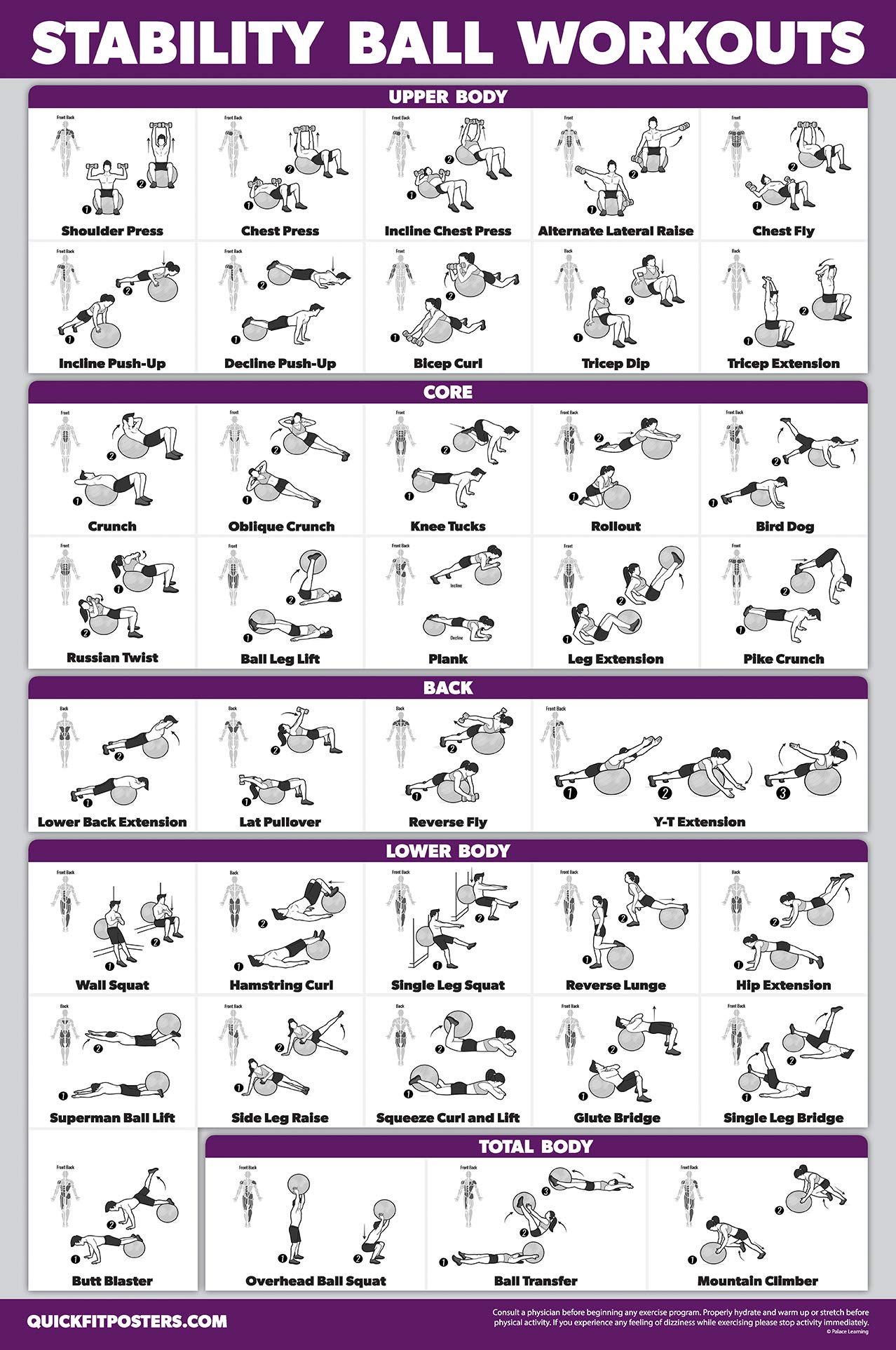 11 Pack - Exercise Poster Set: Dumbbell, Suspension, Kettlebell, Resistance Bands, Stretching, Bodyweight, Barbell, Yoga, Exercise Ball, Muscular System, Medicine Ball (LAMINATED, 18" x 24")