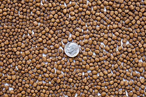 America's Best Koi Food 40 lbs Koi Fish Food - Two 20 lb Sealed Bags - 35% Premium Protein - 1/8 Inch - 3/16 Inch Medium Sized Pond Pellets