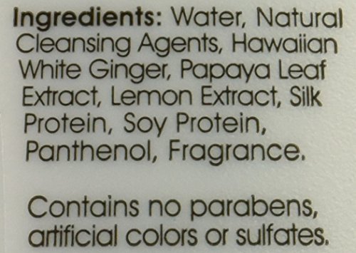 BioSilk for Dogs Silk Therapy Whitening Shampoo | Best Brightening Dog Shampoo for White Dogs to Keep A Clean, White Coat, 12 Oz Shampoo Bottle for All Dogs