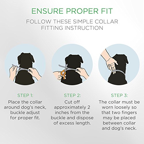 8-Month Protection Dog Flea Collars & Tick Collar - No Irritation, Baldness, or Side Effects - Suitable for Small, Medium, Large Dogs - 25 lnch - Natural flea and tick Collar for Dogs - 1 Pack