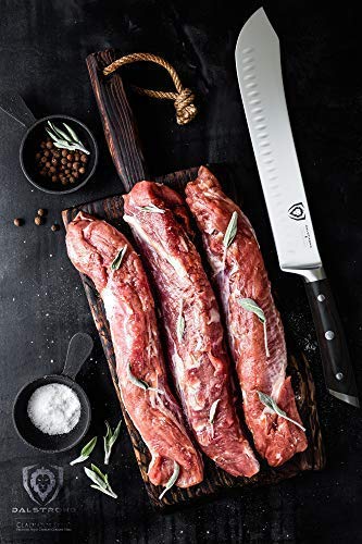 Dalstrong The Gladiator Series Elite Bull Nose Butcher Knife 10" Bundled with Premium Whetstone Kit - #1000/#600 Grit