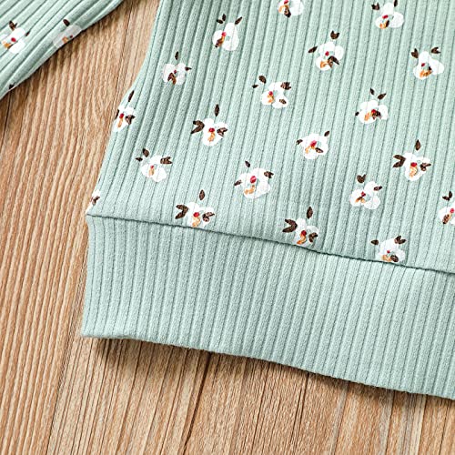 Kids Baby Girl Floral Clothes Set Ruffle Long Sleeve Pullover Tops + Bowknot Pants 2PCS Girls Outfits (Green, 2-3T)