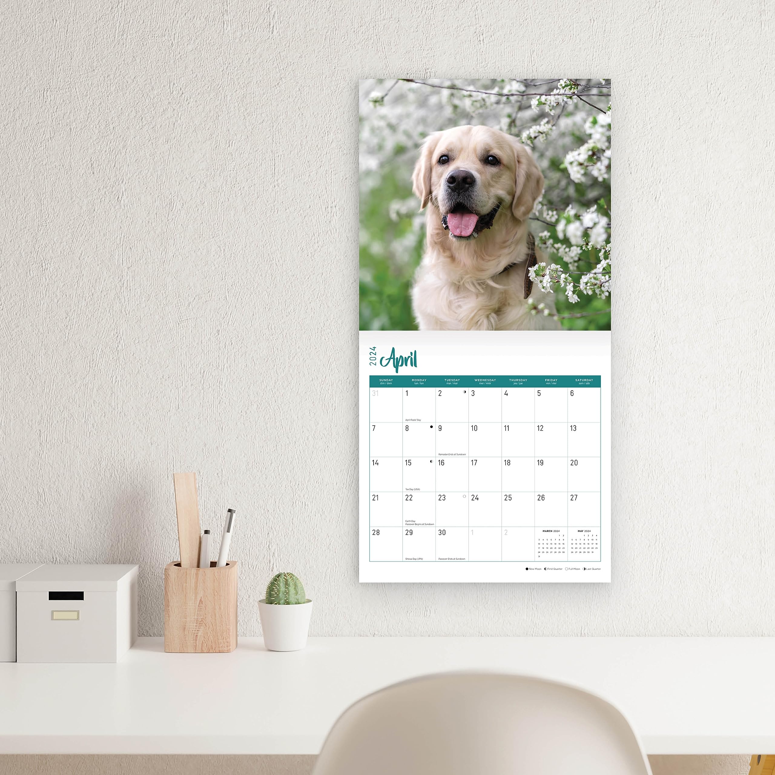 2024 Golden Retrievers Monthly Wall Calendar by Bright Day, 12 x 12 Inch Cute Dog Breed Gift