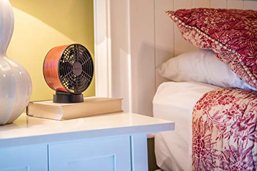 Treva 5" Aromatherapy Diffuser Fan - 2 Speed Air Flow - Faux Wood Design with Reusable Fragrance Pads - Portable USB and Battery Operated Personal Cooling Device
