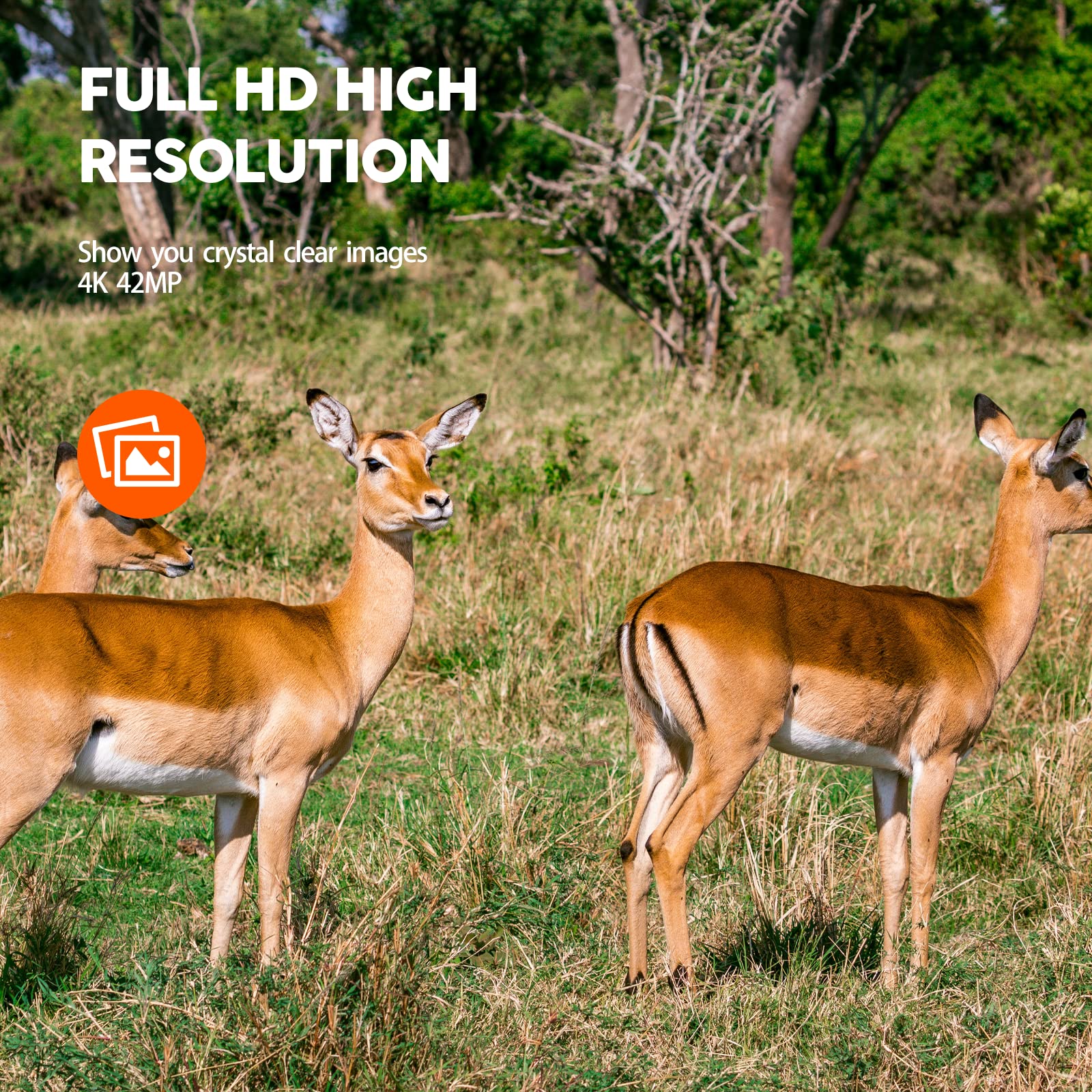 2 Pack Trail Camera 4K 42MP Game Camera, Hunting Camera with Night Vision Motion Activated Waterproof for Wildlife Monitoring