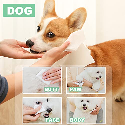 Air Jungles Pet Grooming Wipes for Dogs and Cats 100 Count, 8" x 10" Extra Large Plant-Based Earth-Friendly Hypoallergenic Deodorizing Pet Wipes for Paws Body Face Ear Butt