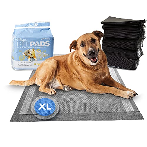 Alpha Paw - Odor Eliminating Pee Pads for Dogs, Extra Thick Disposable Leak-Proof Dog Pads, Quick-Dry, Non-Slip Backing, With Pheromones To Attract Your Dog