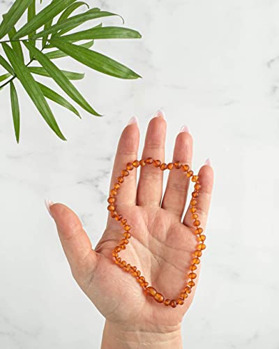 Ambercalm Baltic Amber Necklace - Raw Unpolished Amber Baroque w/Certified Genuine Baltic Amber Cognac 12.5 Inches