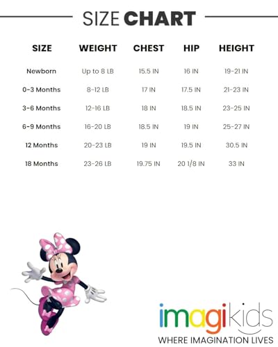 Disney Minnie Mouse Newborn Baby Girls Layette Set: Bodysuit Pant Hat Bib Grey/Pink 0-3 Months