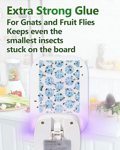 15 Pack Insect Trap Refills for Fly Trap Indoor, Sticky Glue Boards for Fruit Fly Trap Indoors, for Catching Fruit Flies, Gnats, and House Flies, Easy to Use