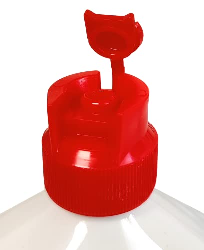 12x 1 Quart Bottle Lighter Fluid, Fast Lighting Lighter Fluid, Clean Burning, Charcoal Lighter Fluid, Perfect for Starting Outdoor Charcoal & Wood Fires, BBQ Grill, Grilling Essentials by Mr. Bar-B-Q