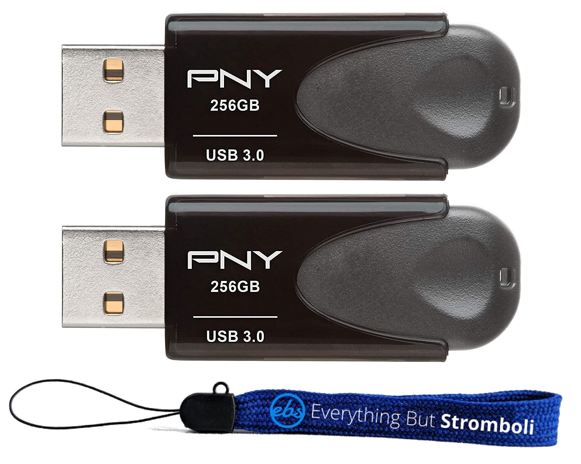 Generic PNY 256GB USB 3.0 Flash Drive Turbo Attaché 4 (Bulk 2 Pack) Works with Computer (P-FD256TBAT4A-GE) Bundle with (1) Everything But Stromboli Lanyard