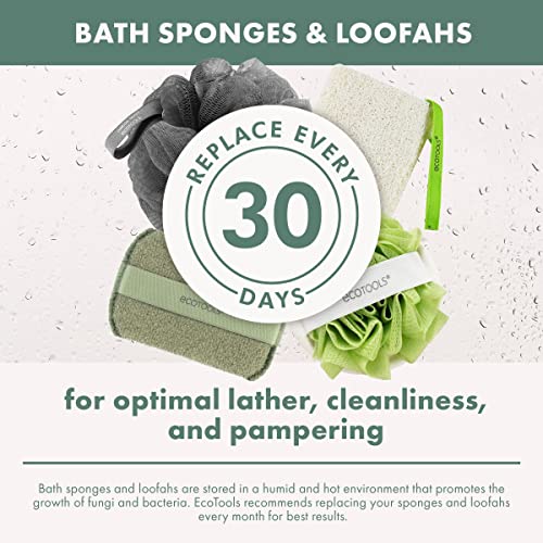 EcoTools Facial Cleansing Bioblender, Eco Friendly Compostable Face Sponge, for Facial Cleansers & Scrubs, Deep Cleansing & Exfoliating, Safe for Sensitive Skin, Cruelty Free & Vegan, 2 Count