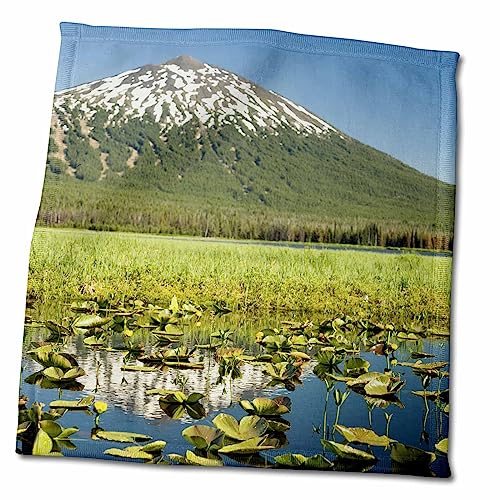 3dRose Lilly Pads, Marsh at Dutchman Flats, Near Sparks Lake, Oregon, USA - Towels (twl-332029-3)