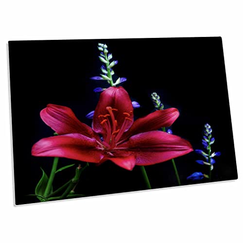 3dRose Red Day Lilly with Purple Blooms - Desk Pad Place Mats (dpd-336452-1)