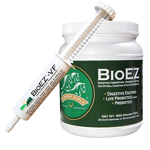 BIOEZ Veterinary Wellness Kit - (1 Jar 32oz. + 1 Tube VF-Vet Formala Gel/Paste)