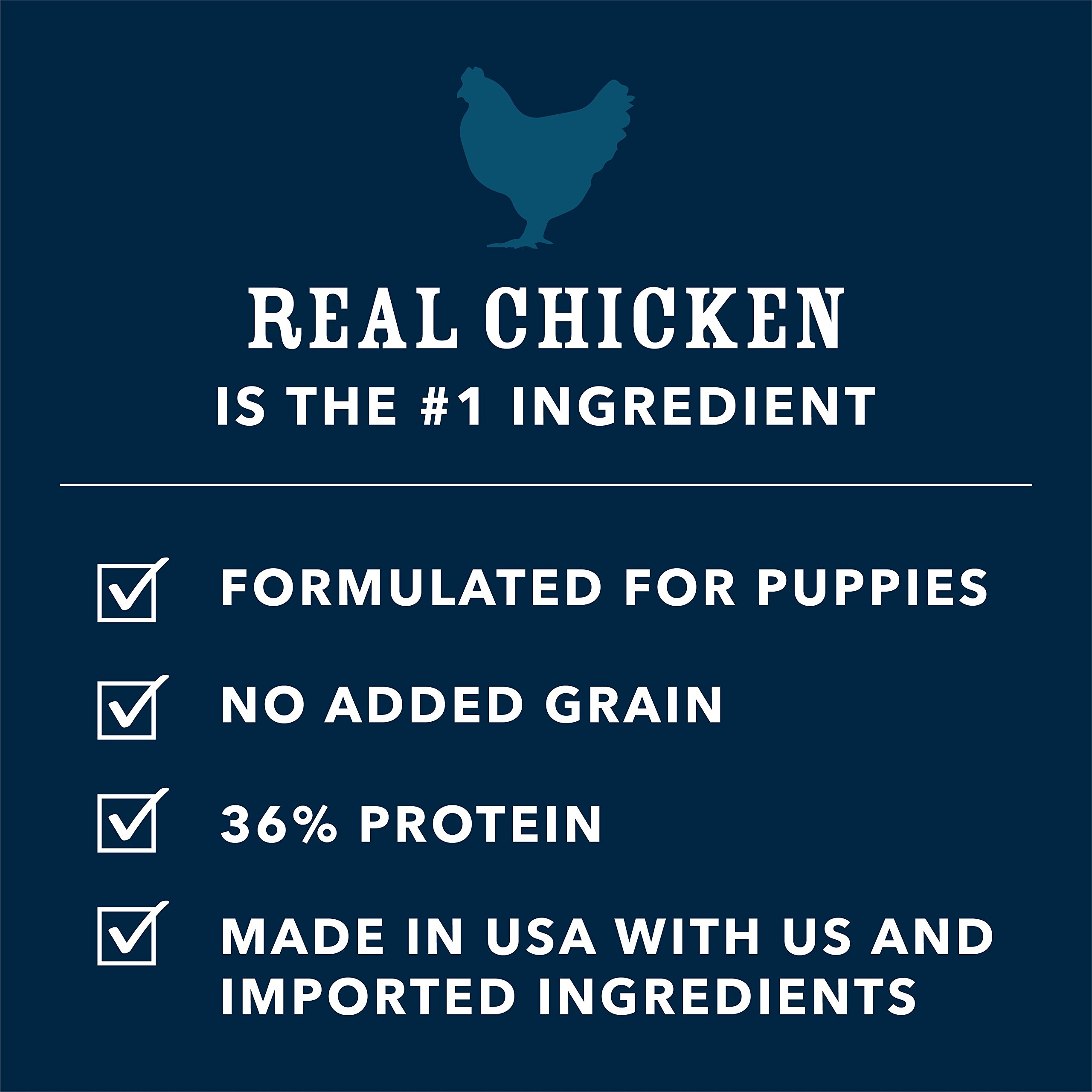 Amazon Brand - Wag Grain Free Dry Dog Food for Puppies, Chicken & Lentil Recipe (15 lb. Bag)