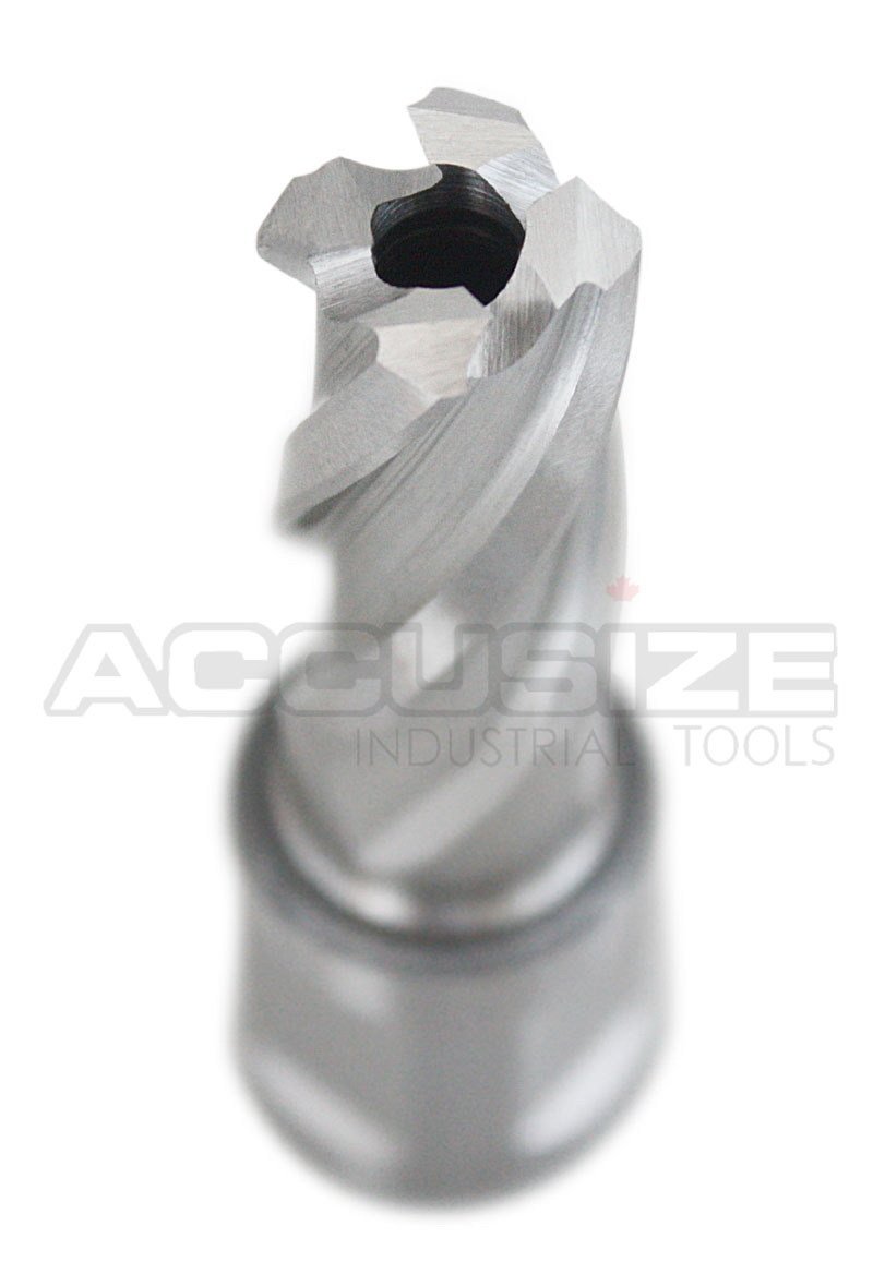 Accusize Industrial Tools 10 Pcs 9/16'' Diameter by 1'' Depth Hss Annular Cutter Plus 1 Pilot Pin, 2080-2014pin