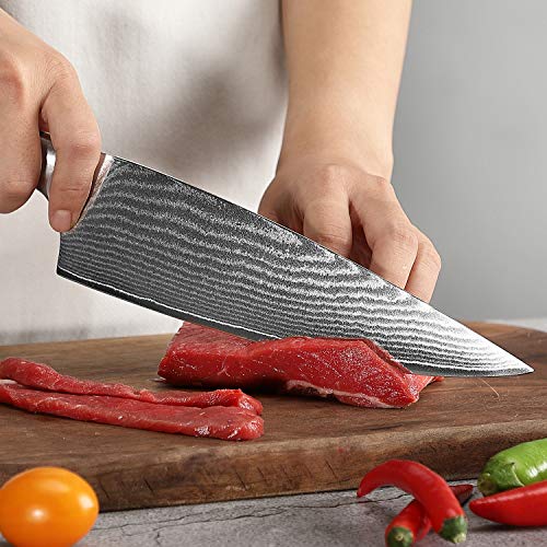 Damascus Kitchen Knife, 8 Inch Chef Knife Professional Kitchen Knife Forged with VG10 Super Steel 67-Layer Damascus, Non-slip ABS Ergonomic Triple Rivet Handle, Razor Sharp Lightweight Multipurpose