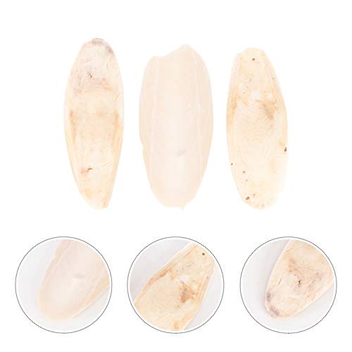 Scicalife Bird Cuttlebone for Parakeets,8-12cm Natural Cuddle Bone, Chewing Cuttlefish Bone for Sharp Beaks, Natural Birds Calcium Suitable for Parrot Cockatiels Budgie Conures (Beige)