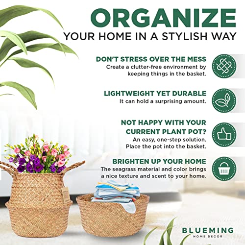 Blueming Home Decor Plant Baskets β Set of 2, Twin Pack Large Hand Woven Seagrass Rattan Belly Planter with Handles for Plant Pots, Home Decor, Organizer, Laundry (Original, 12 Inch x 10 Inch)