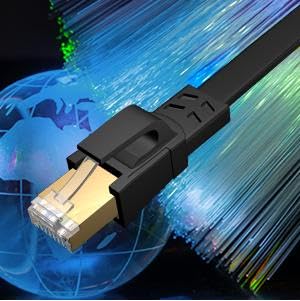 DEEGO Cat 8 Ethernet Cable 50 ft, High Speed Flat Network Cable Shielded, 40Gbps 2000MHz LAN Ethernet Cable U/FTP 30AWG with Gold Plated RJ45 Connector Fit Gaming, Router, Modem, PC, PS4, PS5