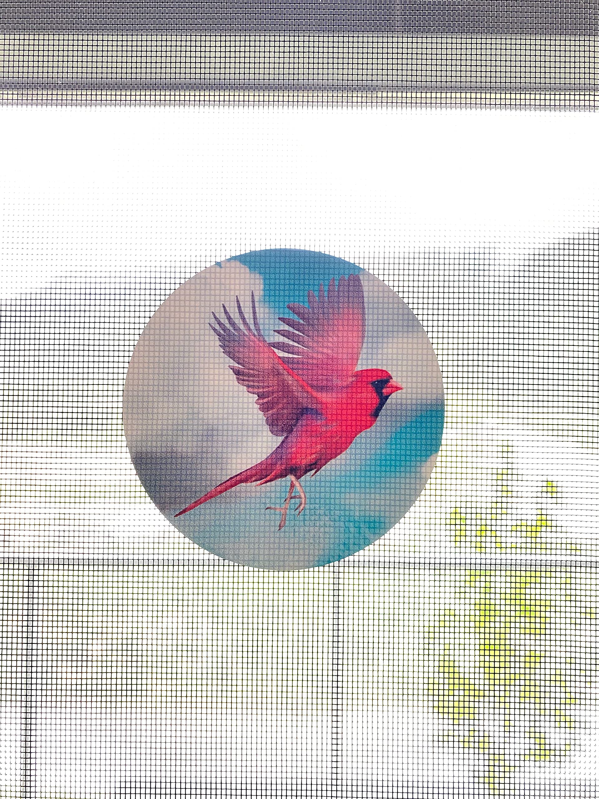 Retractable Screen Door Decals (Stickers) - 6 per Package - Keep Children Safe - Alert Birds, Dogs, Kids - Warn, Protect, Window Safety - Birds