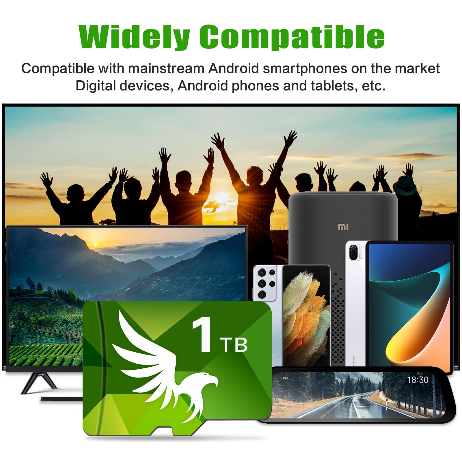 1TB Memory Card, GOLTTY High Speed TF Card, Ultra UHS-I Memory Card, C10, U3, Full HD, A1, Expanded Storage for Android Smartphones, Tablets