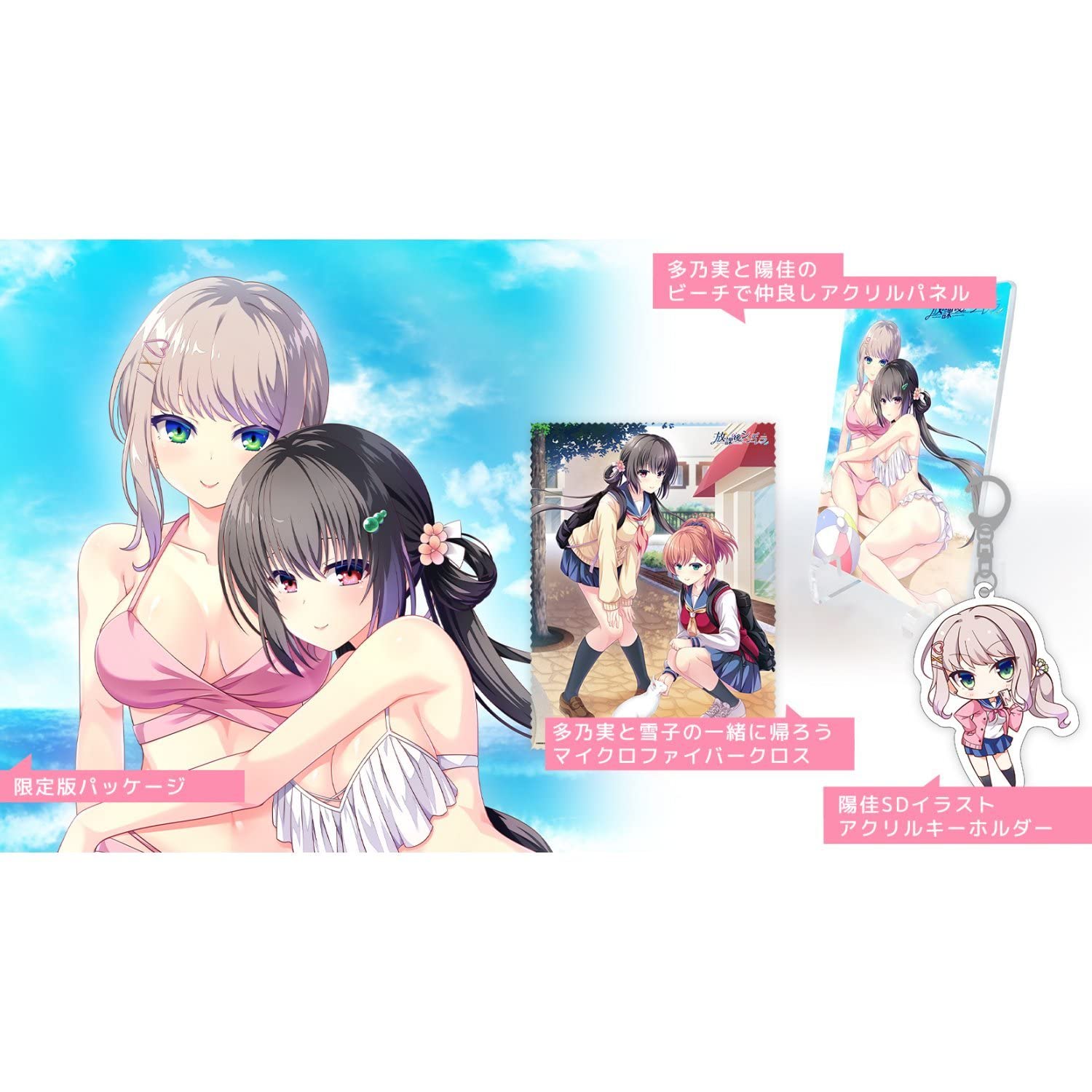 After School Cinderella Complete Production Limited Edition - PS4 (Bonus Item: Acrylic Panel, Microfiber Cloth, Yokaka SD Illustration Acrylic Key Chain Included)