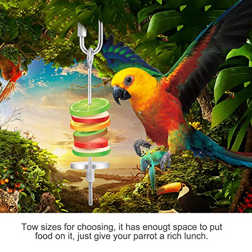 Bird Fruit Holder, Stainless Steel Fruit Vegetable Food Stick Holder Small Animal Bird Toy(S)
