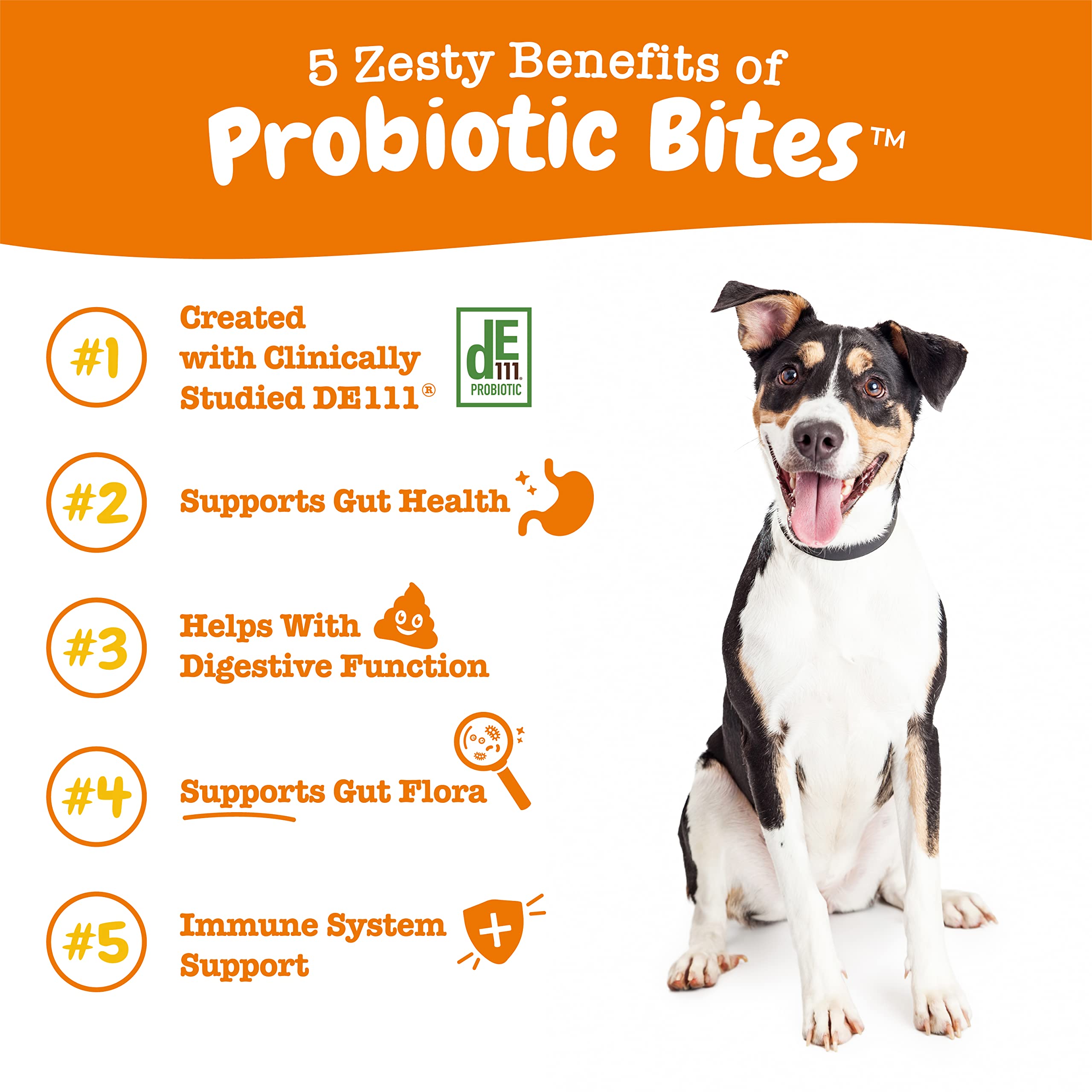 Probiotics for Dogs - Probiotics for Gut Flora, Digestive Health + Scoot Away Soft Chews for Dogs - with Bromelain
