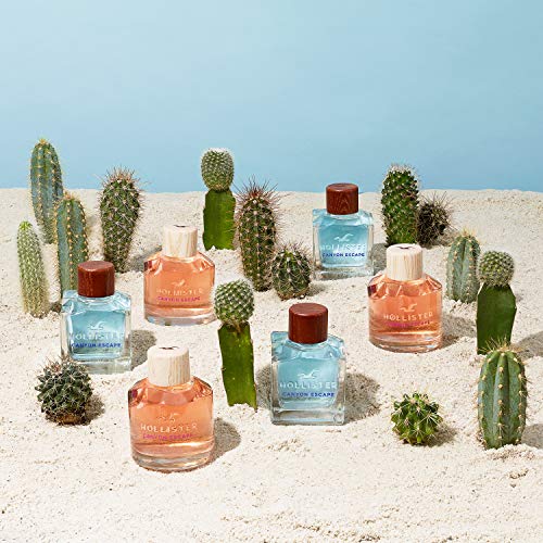Hollister Canyon Escape Men EDT Spray 3.4 oz