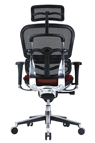 Tempur PedicĀ® Eurotech Ergo High Back-Mesh Executive Chair Burgundy