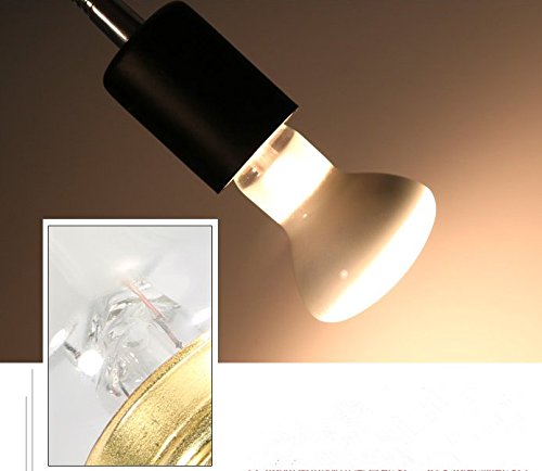 CTKcom 2-Pack 110V 75W Pet Heating Lamp,Basking Heat Spot Lamp, Reptile Heat Bulb for Turtle Aquarium Aquatic Reptile Lizard Heat Lighting E26/E27,White,2 Pcs