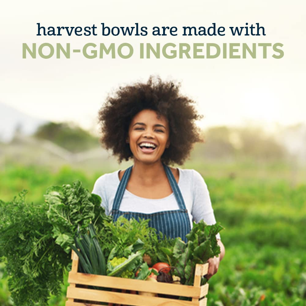 Gerber Mealtime Harvest Bowls, Pesto, 4.5 OZ