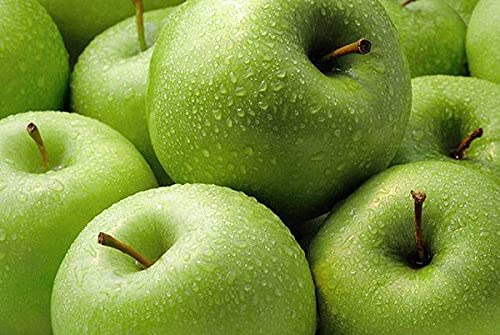 2 Granny Smith Apple Tree 1Ft to 2Ft Live Plant Green Apple Fruit Tree No Ship CA Planting Hardy