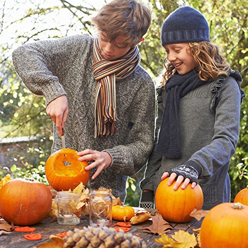 Antner Pumpkin Carving Tools Kit, 4 Pieces Heavy Duty Stainless Steel Carving Tools Set and 6 Pieces Halloween Pumpkin Carved Stencils Stickers