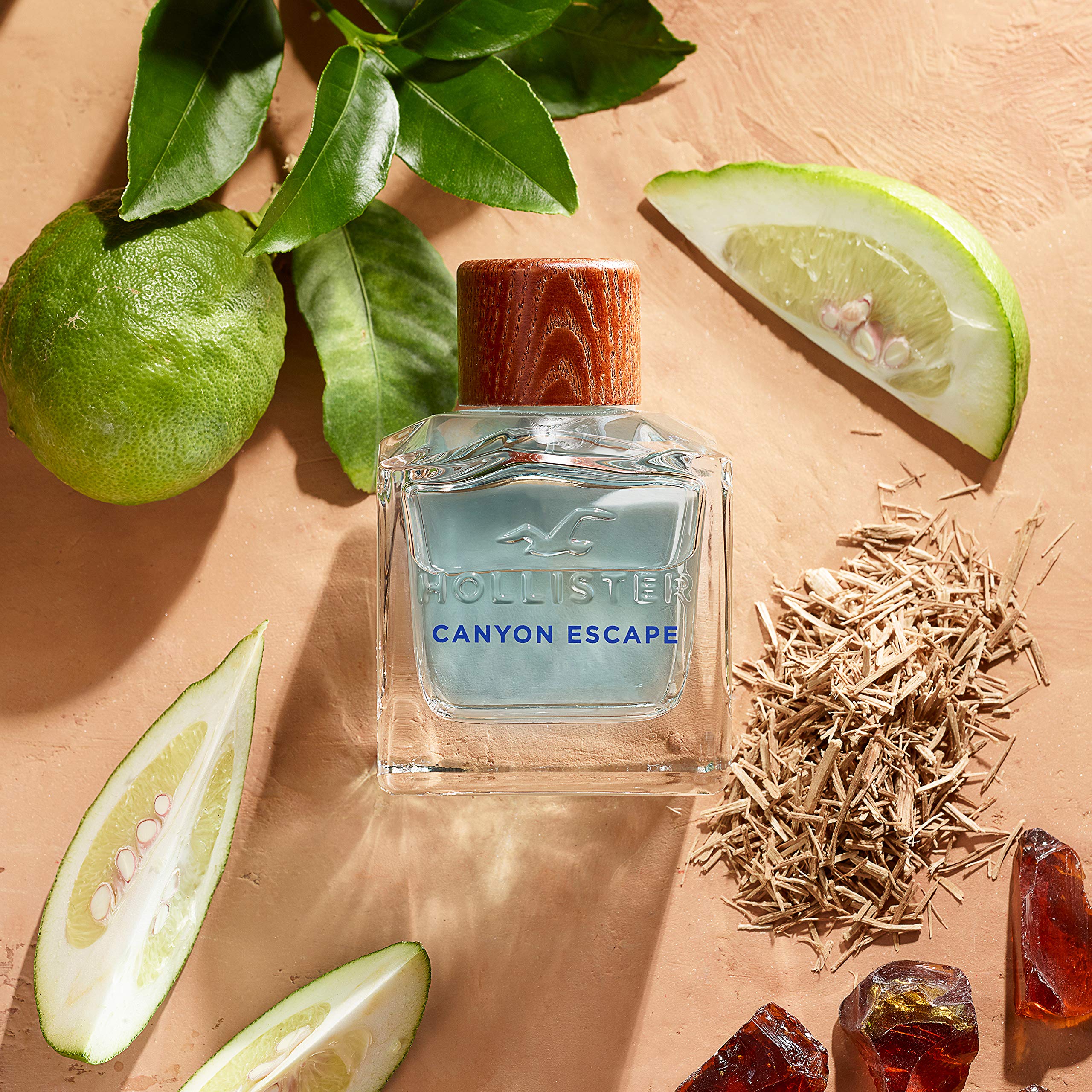 Hollister Canyon Escape Men EDT Spray 3.4 oz
