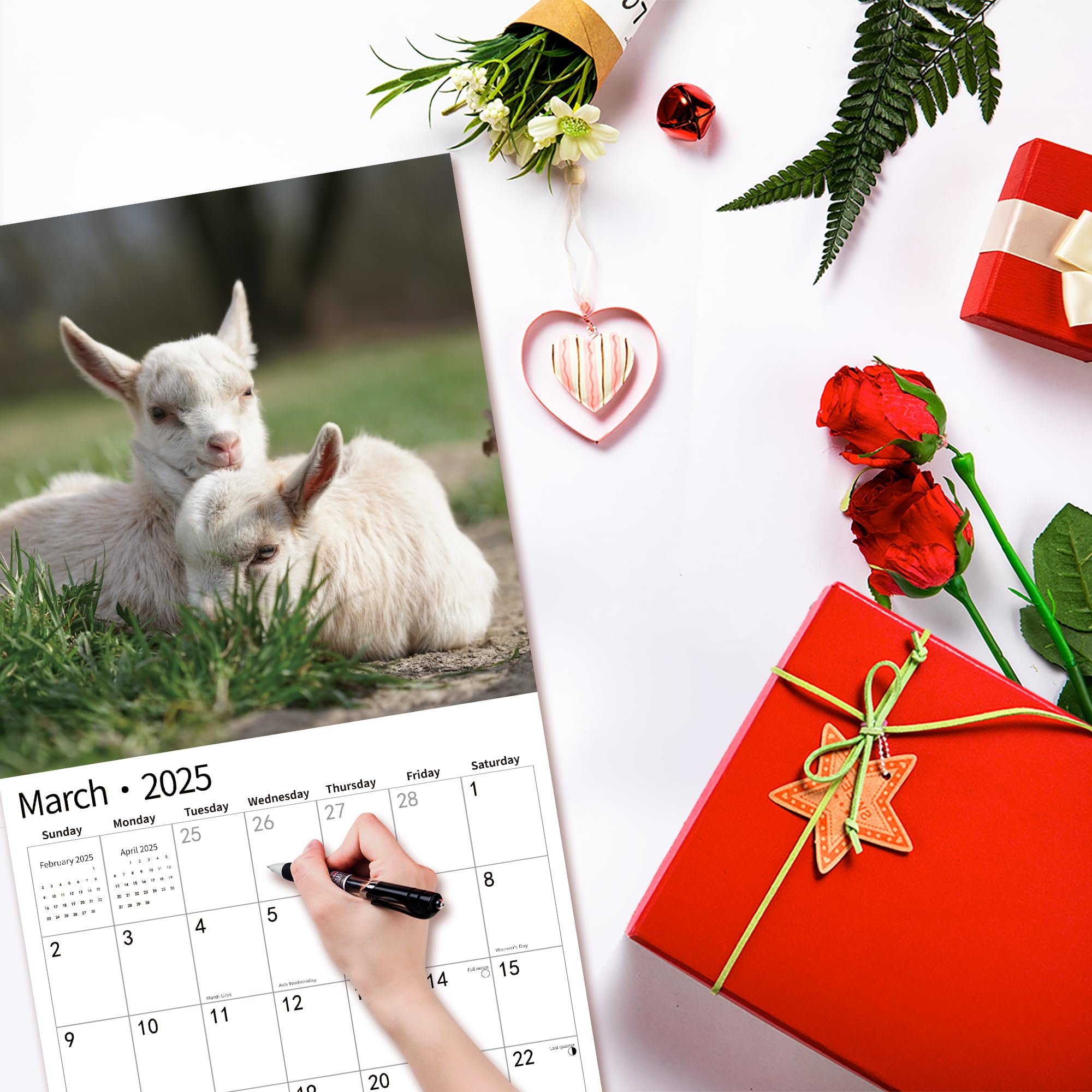 2024 2025 Wall Calendar,14 Monthly Wall Calendar Beautiful World Nov. 2024 - Dec. 2025, 12" x 18.2" Opened,Full Page Months Thick Paper for Gift Calendar Organizing & Planning