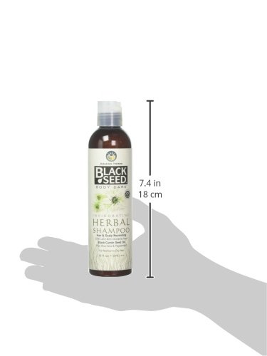 Amazing Herbs Black Seed Herbal Shampoo, 8 Fluid Ounce