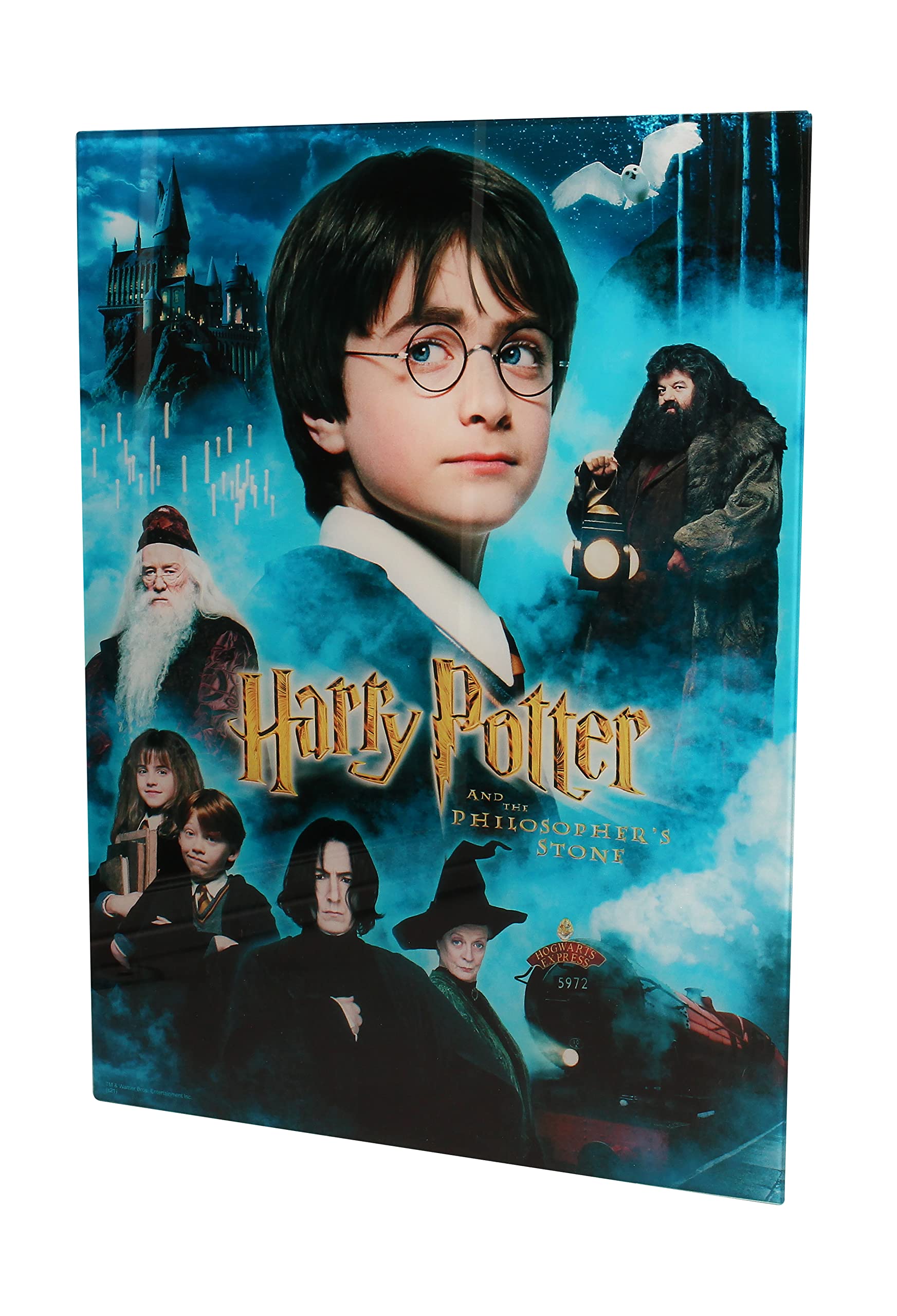 Harry Potter - Impression en Verre - Philosopher's Stone - 30X40 Cm