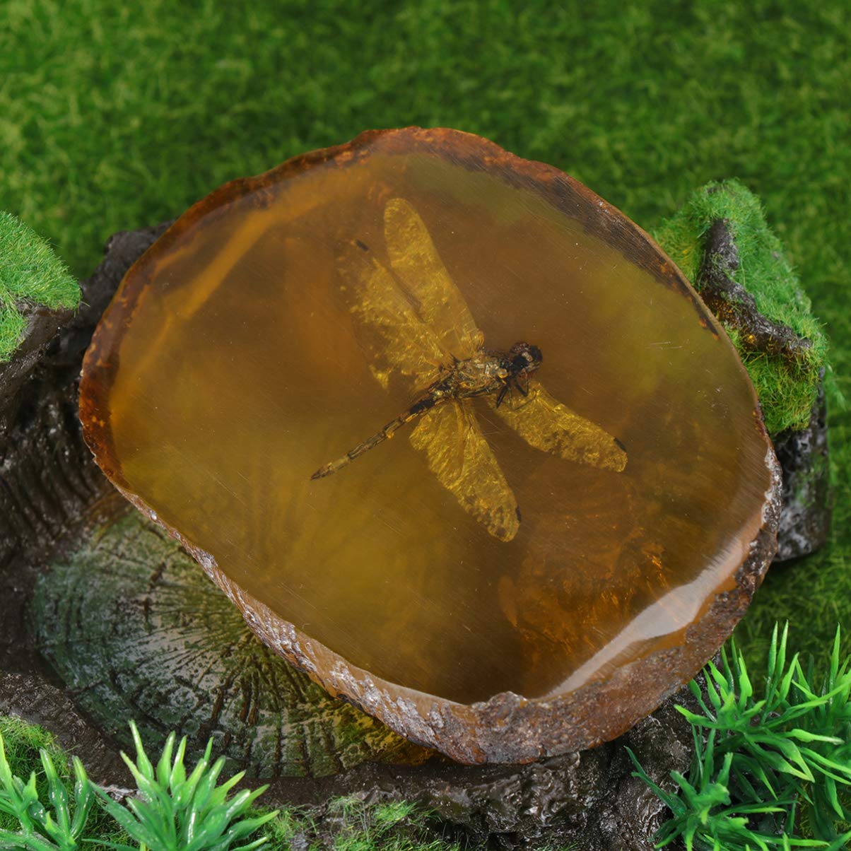 Amber,Artificial Amber Specimen Pendant Butterfly Scorpions Insects Amber Stone Ornament for Collection(Dragonfly)